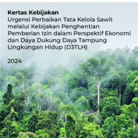 Madani Insight Madani