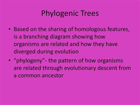 Evidence For Evolution Ppt Download
