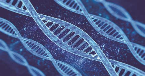 Comparison Of Bigdye Terminator V3 1 Cycle Sequencing Kit To Alternative… Krystian Grzybek