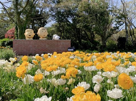 캐릭터와 함께 신나는 제주여행