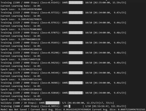 Transformer Unet Will Not Train Even With Diverse Data And