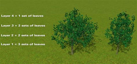 Simming In Magnificent Style Wider Tree Trunk With No Leaves