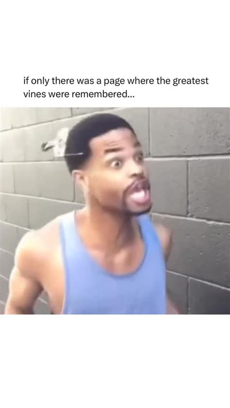 Funny Vine Memes 2026