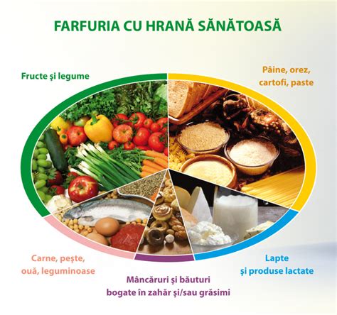 Farfuria Sanatoasa Si Piramida Alimentara Anca Buruciuc