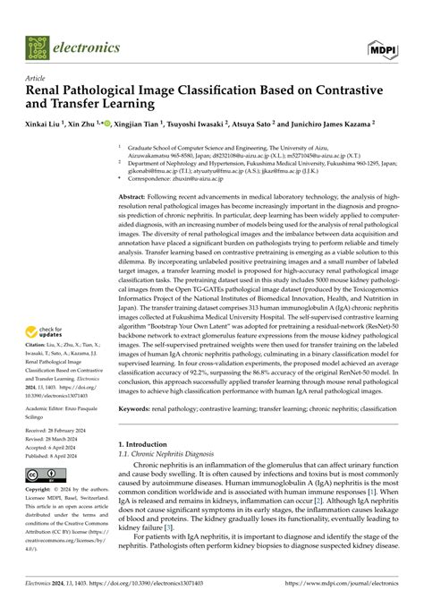 Pdf Renal Pathological Image Classification Based On Contrastive And