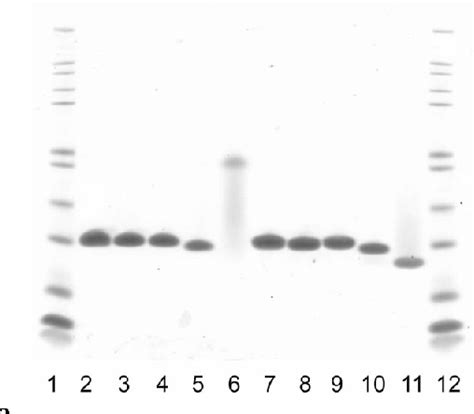 Figure 2 From Diffraction Structural Biology Synchrotron Radiation Creation And Structure
