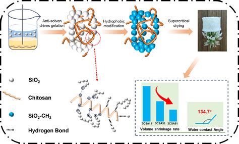 高分子科学与工程学院张振秀教授团队在气凝胶领域取得新进展 人事处