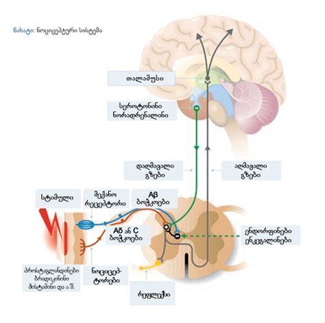 ინტელის ტრენინგი მეორე დღის რეფლექსია