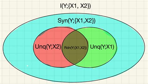 What Is Partial Information Decomposition And How Features Interact Towards Data Science