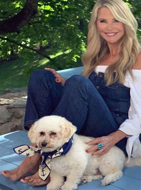 Christie Brinkley Nude Pics Scenes And Porn Scandal Planet