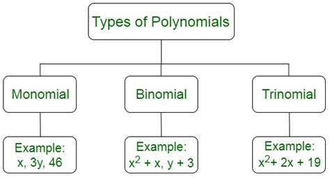 Are Whole Numbers Polynomials Geeksforgeeks