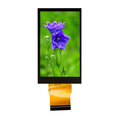 3 0 TFT 360 640 Pixels Spi LCD Display Screen IPS LCD Display Touch Screen China TFT LCD
