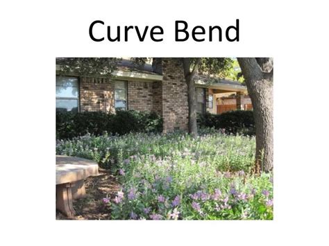 PPT Curve Bend PowerPoint Presentation Free Download ID
