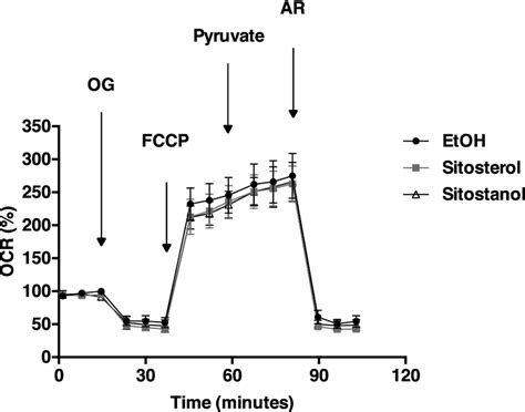 Sitosterol Or Sitostanol Does Not Alter Cellular Respiration In Download Scientific Diagram