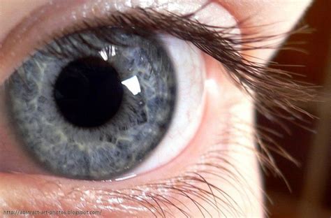 Pin By Meg Berg On Windows To The Soul Gray Eyes Blue Eyes Eye Color