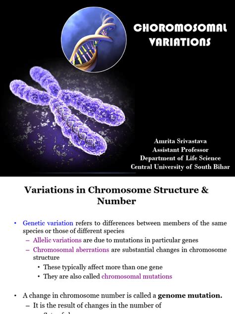 Chromosomal Variations Pdf Biology Biotechnology