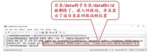 Hdfs的shell操作 Csdn博客