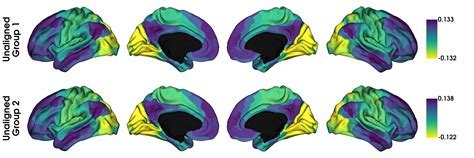 Tutorial 2 Customizing And Aligning Gradients — Brainspace 013 Documentation