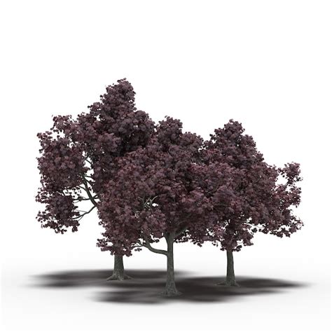 Premium Photo Group Of Trees With A Shadow Under It Isolated On White Background 3d