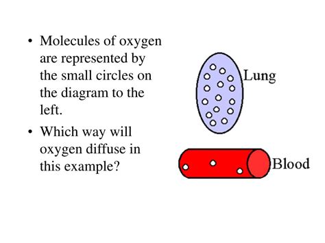 PPT Diffusion Is The Movement Of Molecules From A High Concentration To A Low Concentration