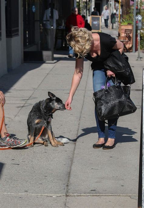 Katherine Heigl Sexy 7 Photos Thefappening