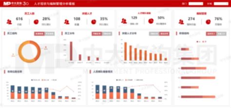 智慧人才供需分析驾驶舱 中大咨询