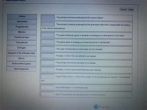 Solved X HW Re Lab Coaching Activity Anatomy Of The Chegg Com