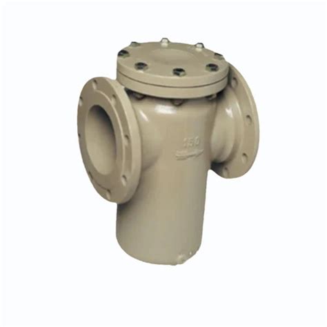 Duplex Basket Strainer Size Dimension 12 At ₹ 20000 Piece In New Delhi Id 21284636888