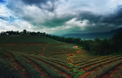 Elevation Of Thamarassery Kerala India Maplogs