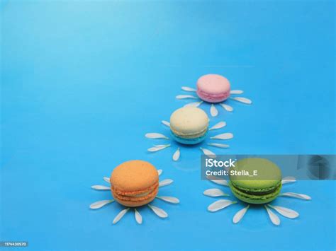 귀여운 데이지 마카롱 국화 꽃잎 꽃과 다채로운 프랑스어 마카롱 카피 스페이스 음식 배경 개념과 파란색 배경에 맛있는 달콤한 디저트 0명에 대한 스톡 사진 및 기타 이미지