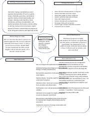 N1213 Concept Map Week Two 2 Docx Defining Characteristics Risk Factors Nursing Intervention