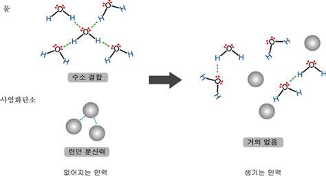 분자 간 인력과 용해도