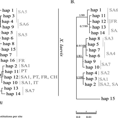 Mp And Bi Inference Based On Cytb A And 16s Alignments B Bayesian Download Scientific