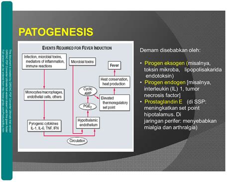 Workup And Differential Diagnosis Of Fever Ppt