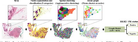 Figure 10 From A Survey On Graph Based Deep Learning For Computational Histopathology Semantic