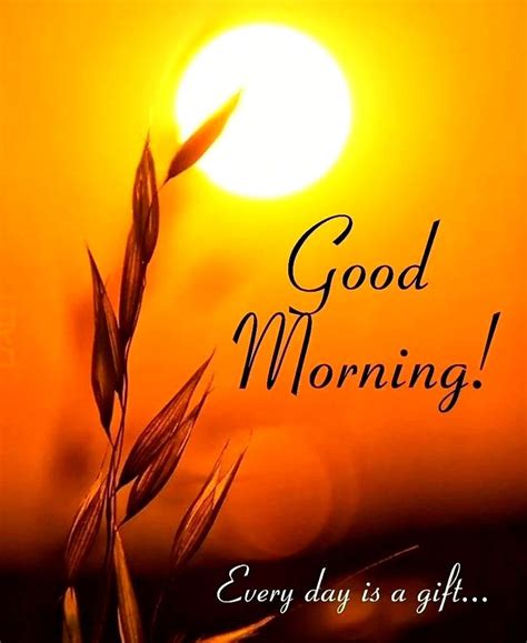 Fatma Mohamed Posted On Linkedin