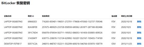 什么是 Bitlocker 驱动器加密？及找密钥回方式 俍注