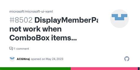 Displaymemberpath Not Work When Combobox Items Binded To