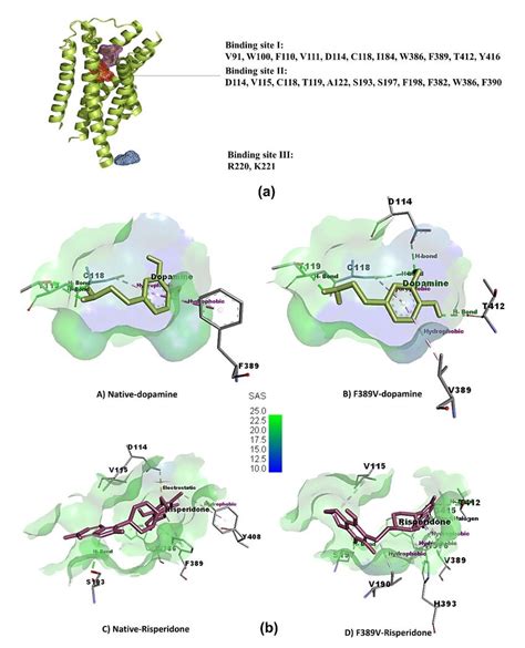 binding site prediction and visualization of the molecular docking