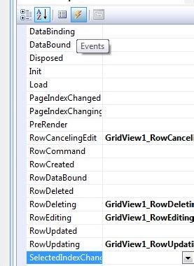 Purvi S Blog Working GridView With Databound Fields