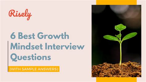 6 Best Growth Mindset Interview Questions With Sample Answers Risely