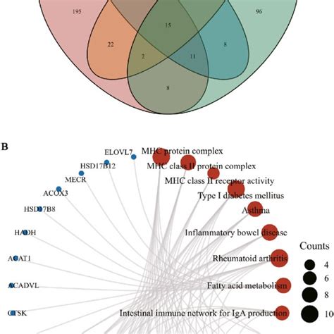 Ppi Network And Functional Exploration A Ppi Enrichment Analysis