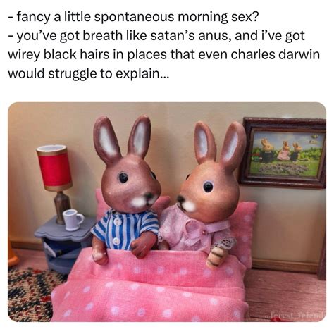 Forest Fr1ends Forest Fr1ends Added A New Photo