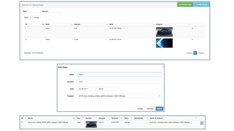 image from dataset not appearing on windows player get help xibo