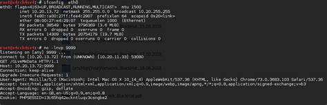 Csv Injection V1054 New User · Issue 636 · Alkaconopencms Core