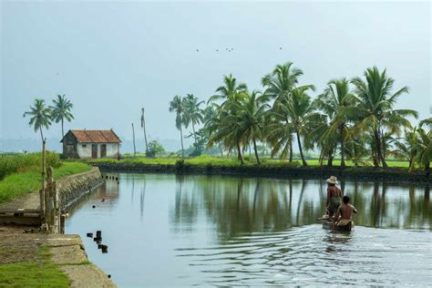 11 Dreamy Photos Of Keralas Backwaters Attractions