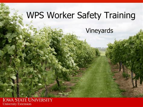 Wps Worker Safety Training Vineyards