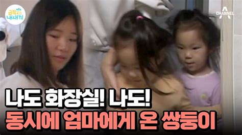 뭐든지 동시에 벌어진다 쌍둥이를 키우는 엄마의 육아 스토리 요즘 육아 금쪽같은 내새끼 176 회 Youtube