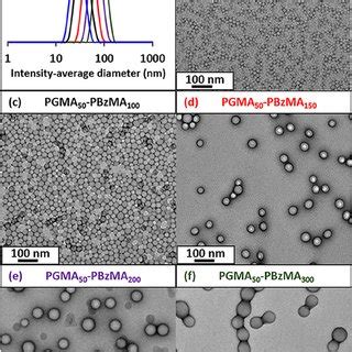 A DLS Intensity Average Particle Size Distributions Recorded Plus Download Scientific