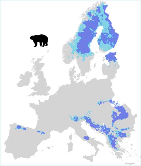 Bears In Europe Map